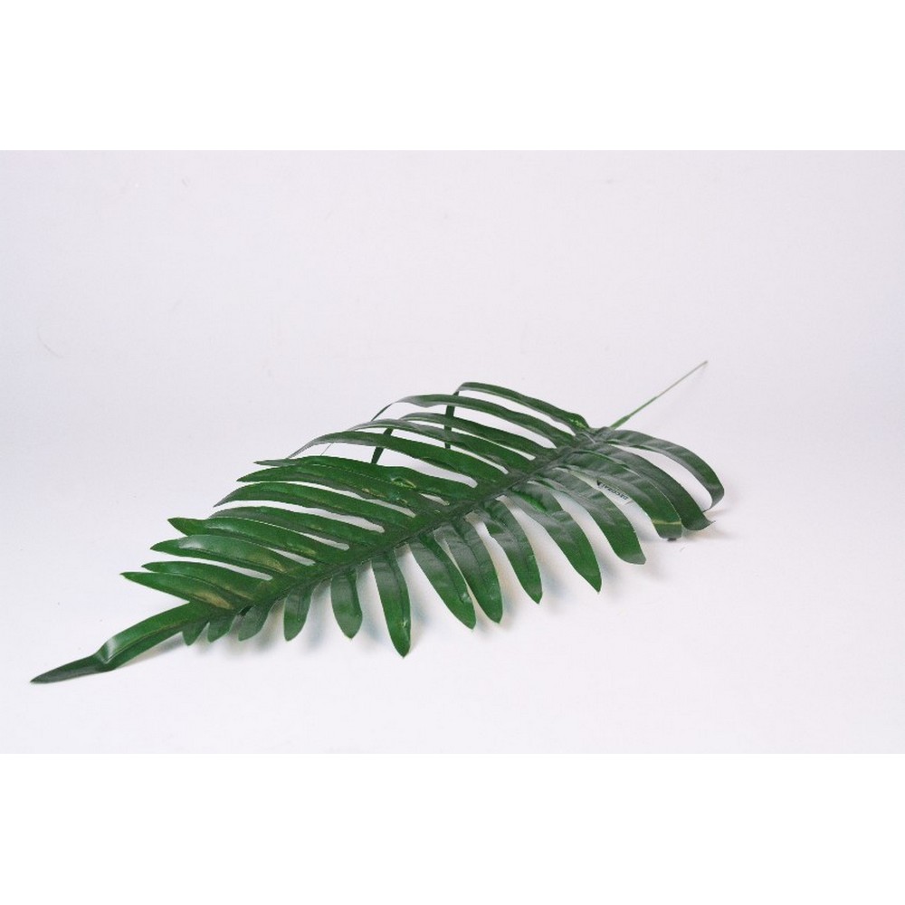 Rezano cvijeće List palme 50 cm | Pevex