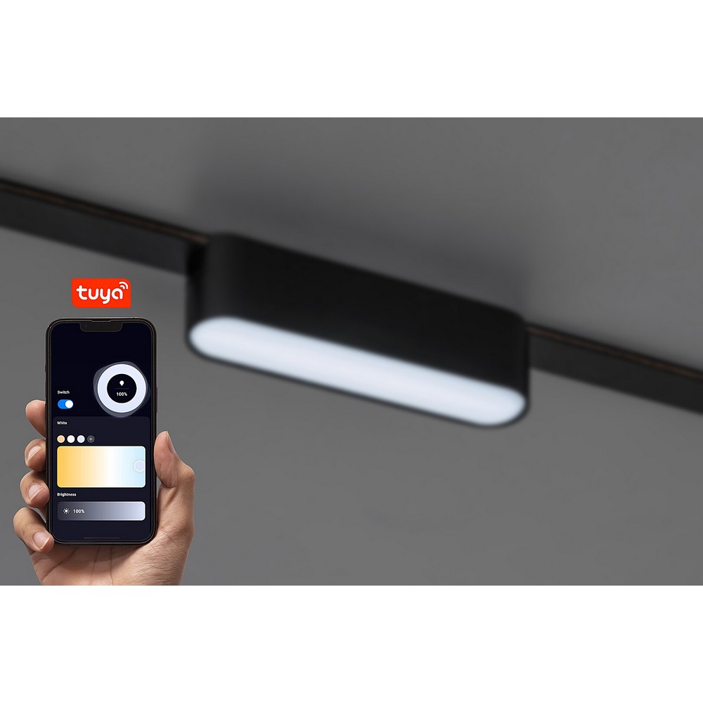 Linijska rasvjeta Rabalux LED 4W 160lm 2700-5500K fiksna LiTrack smart Line03V | Pevex